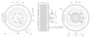 208 (86kW | 150Nm) - EMRAX
